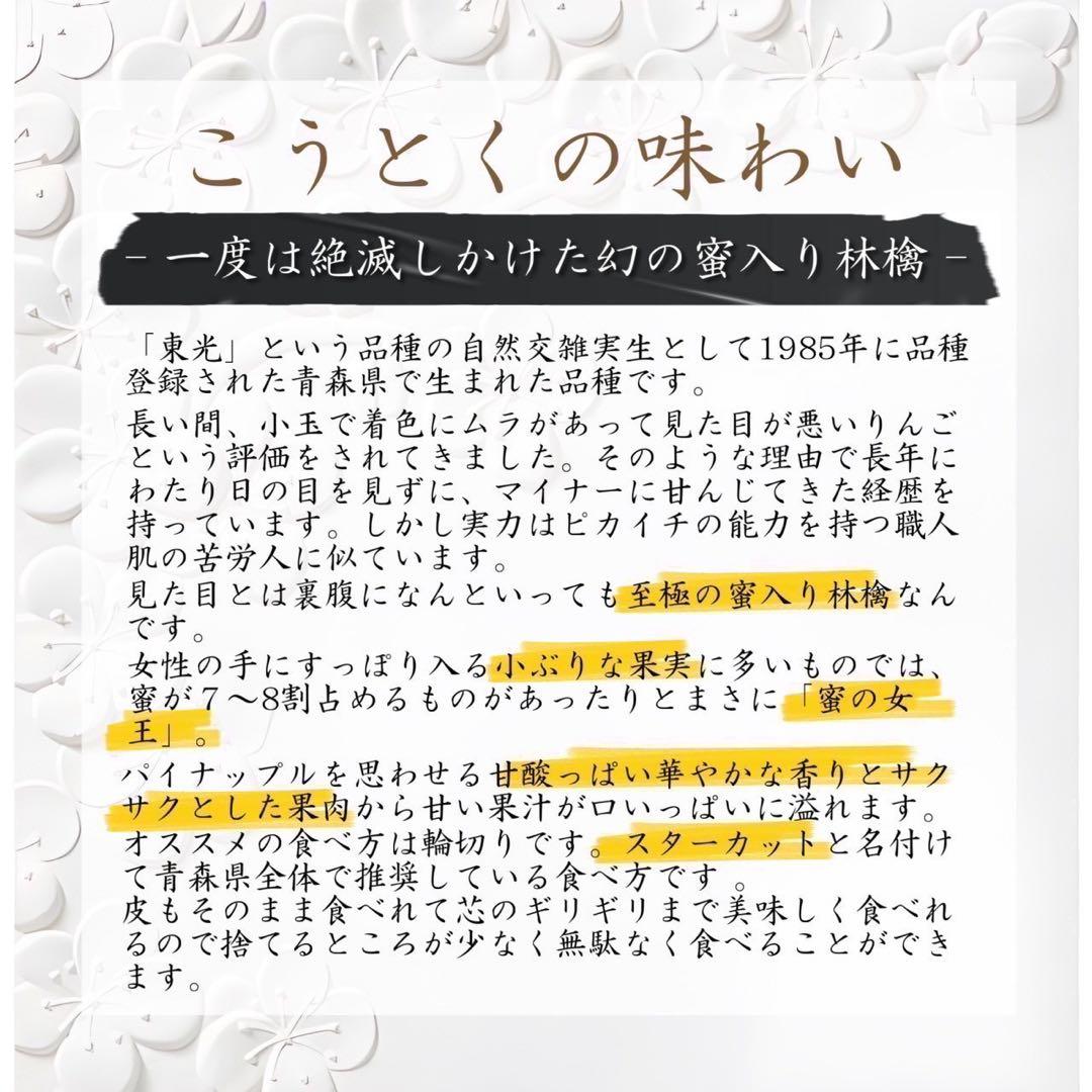 青森県産＂ こうとく(高徳) ＂りんご 家庭用 10kg 産地直送 リンゴ 林檎
