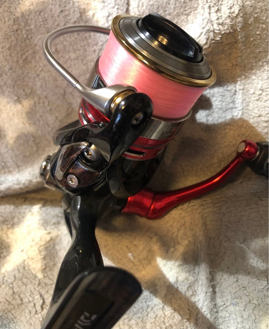 Daiwa 13イージス 2004 &ヘッジホグベアリングキット