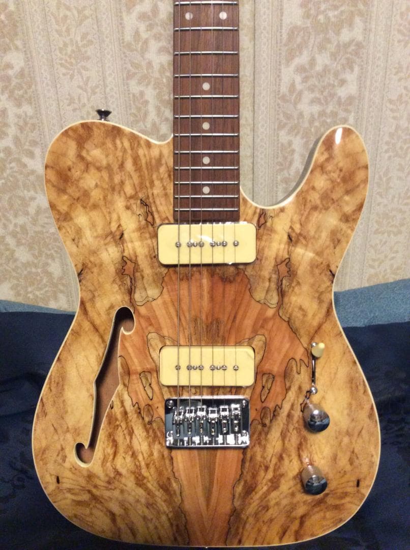 ギター Michael Kelly Guitars 59 thin line P-90