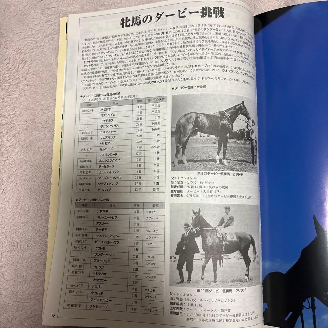 激レア JRA 東京優駿 日本ダービー 2007 ウオッカ 馬券セット
