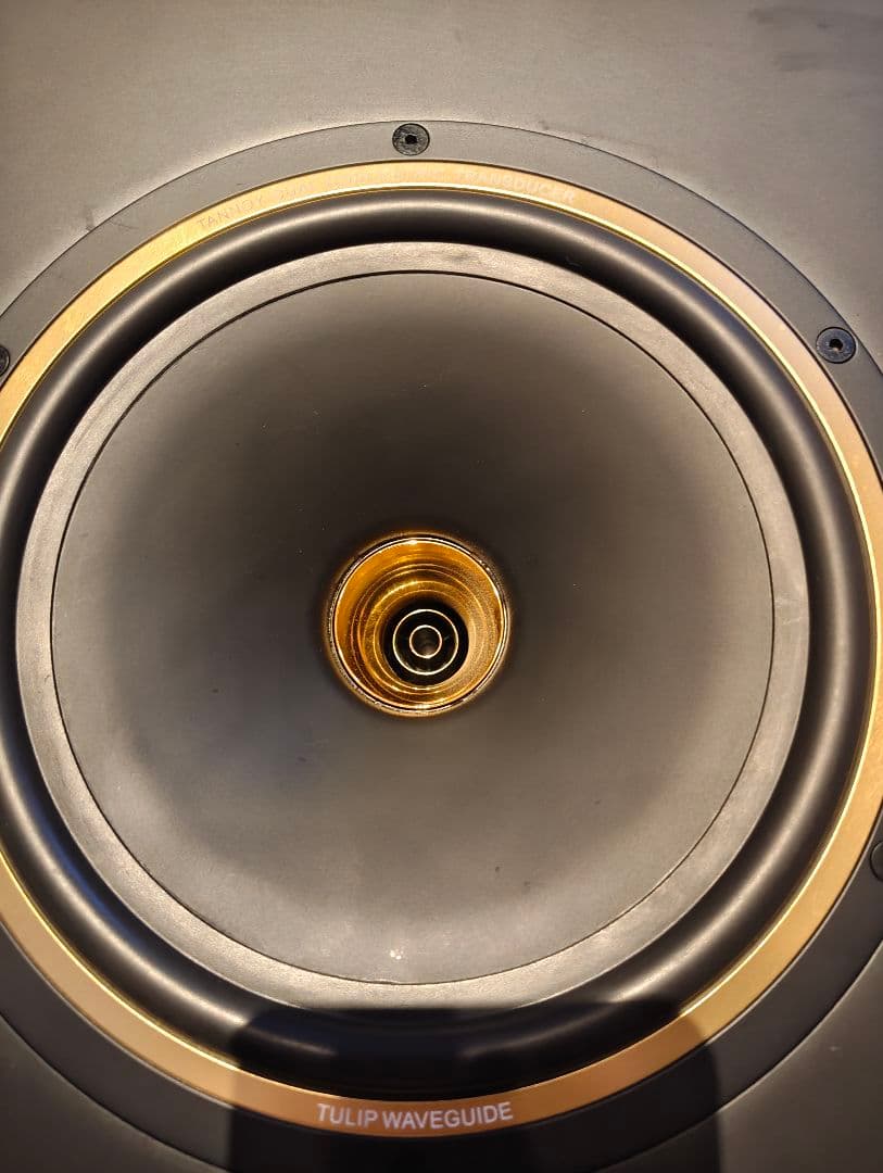 Tannoy GOLD 8 同軸モニタースピーカーペア