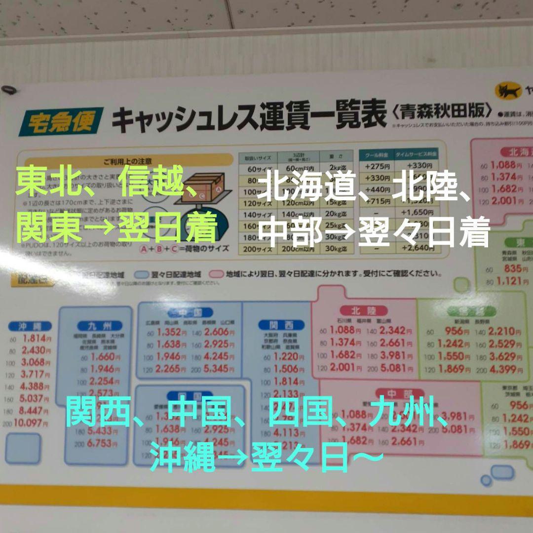 秋田県産 天然きのこ 10種類 MIX 塩漬け 塩蔵