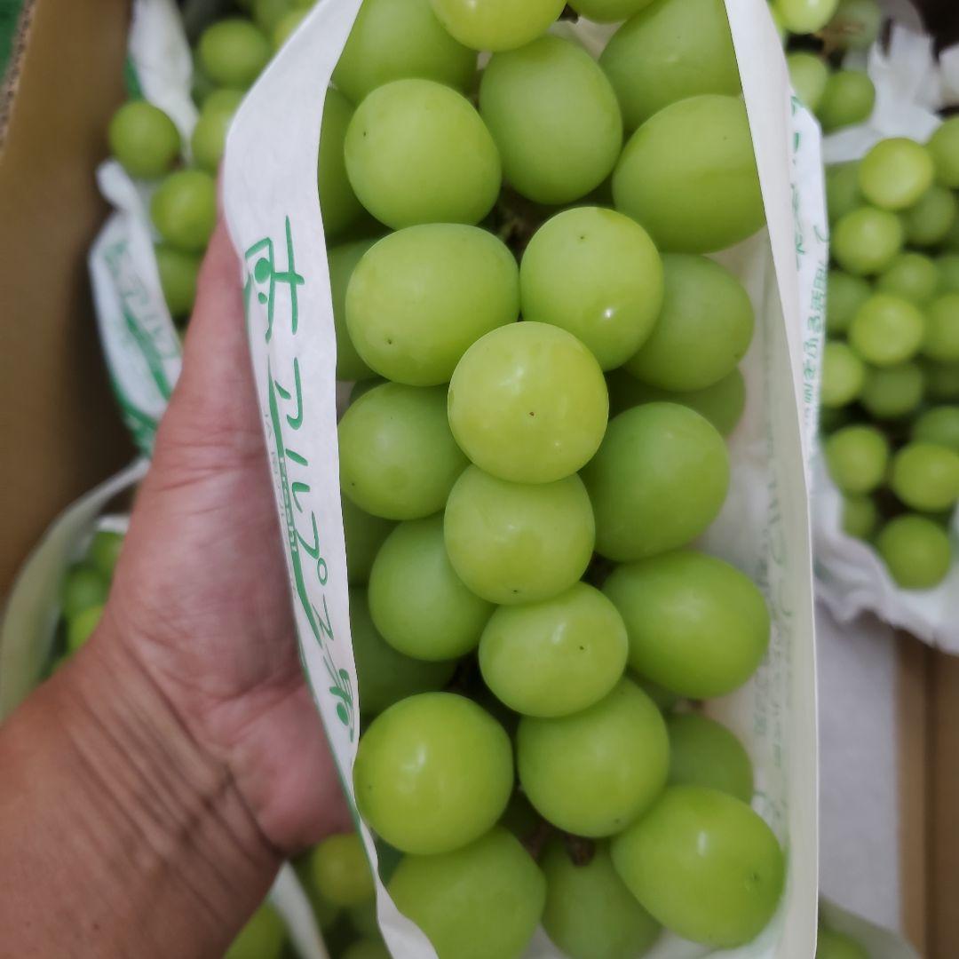 4️⃣ 山梨県産 シャインマスカット １０房入り 箱込み5.5キロ
