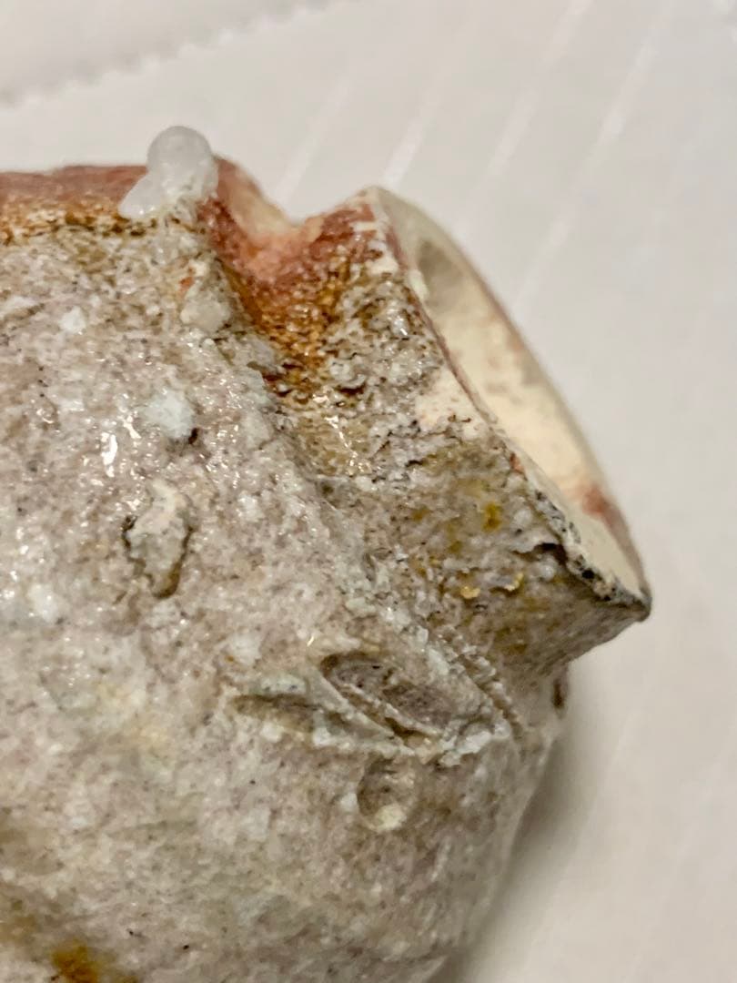 古谷道生　信楽焼　酒器　ぐい呑　お猪口　酒盃　箱無し