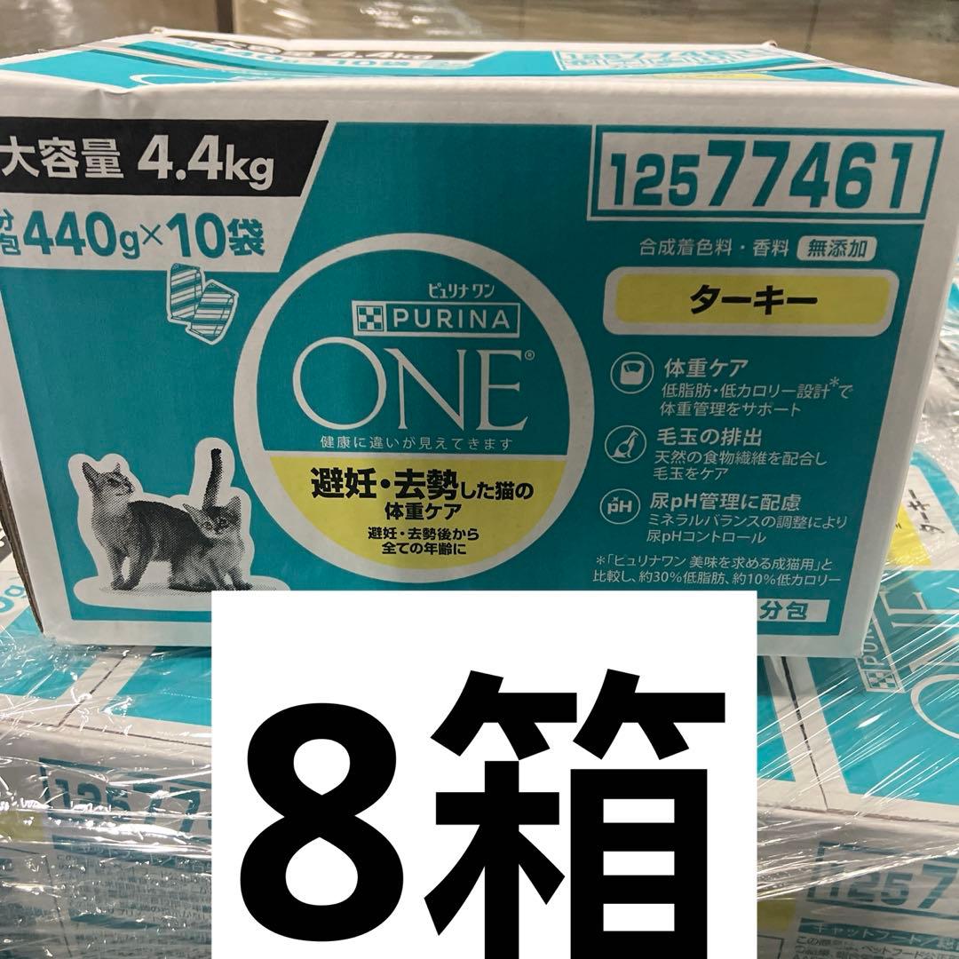 8箱ピュリナ ワン キャットフード ターキー 4.4kg賞味期限：2026.02