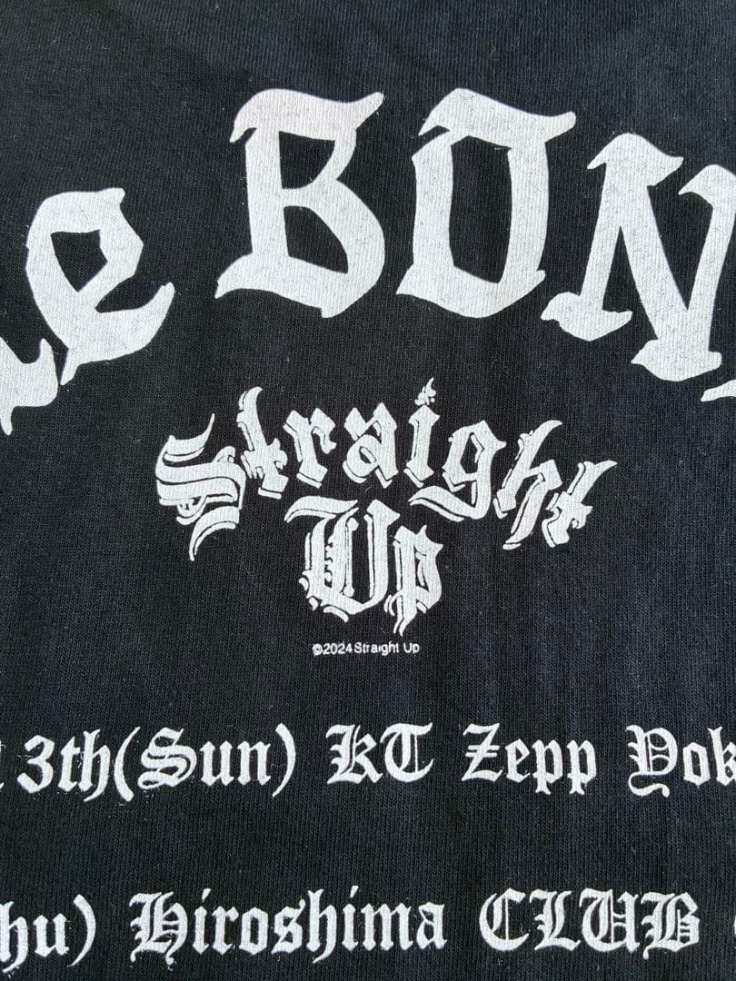 ミュージシャン StraightUp theBONEZ DRAGONASH TourT
