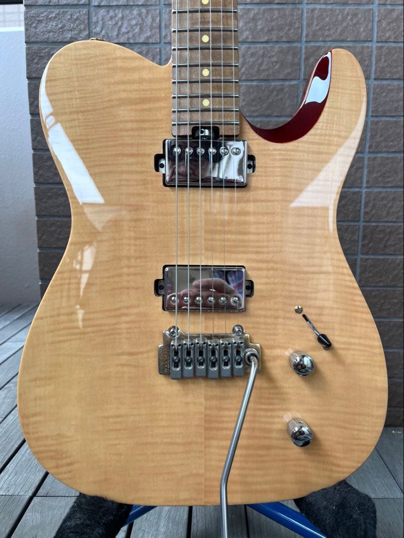 【動作◯】 Harley Benton Pro Series テレキャス