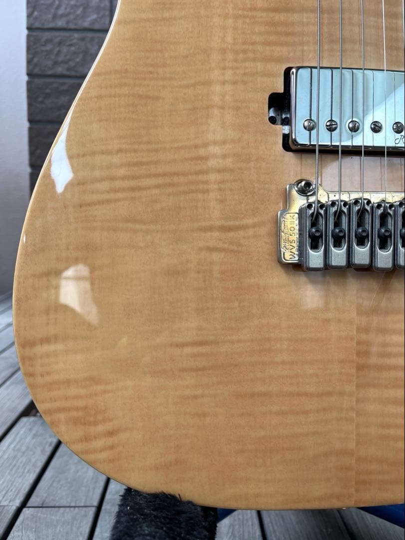 【動作◯】 Harley Benton Pro Series テレキャス