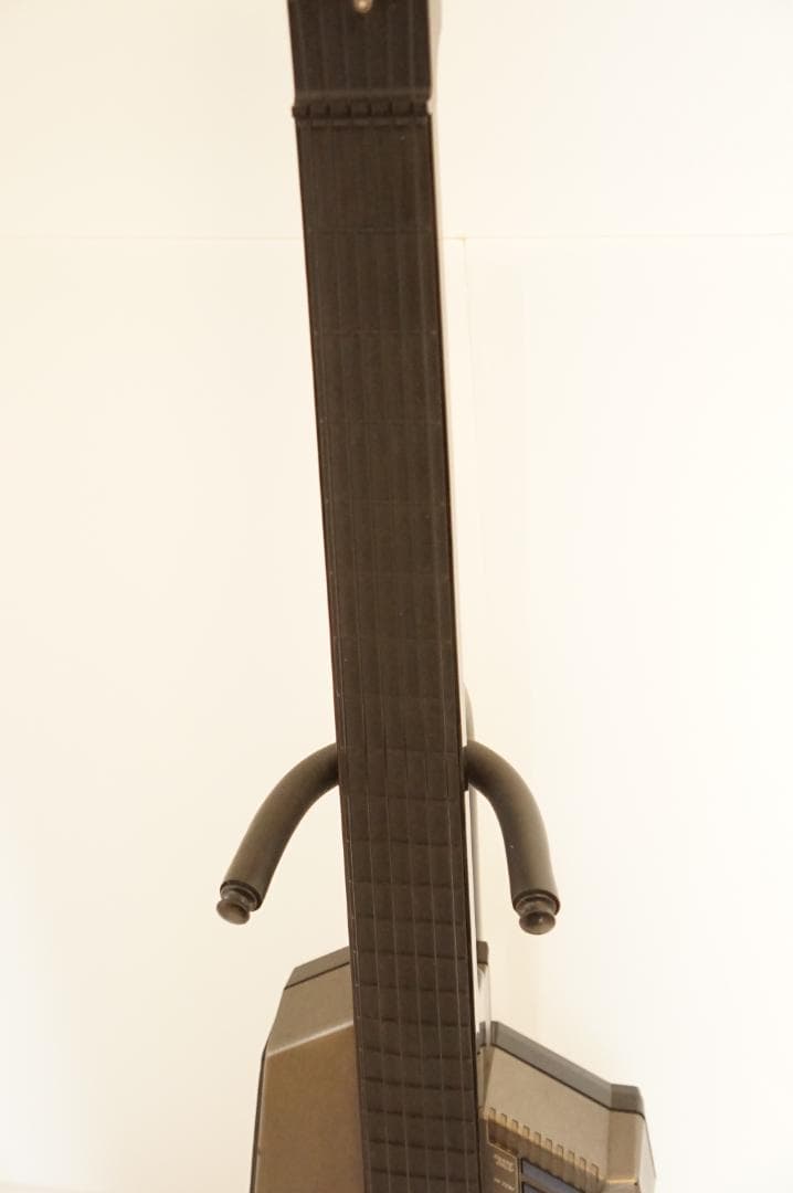 ギター CASIO dg-20 digital guitar