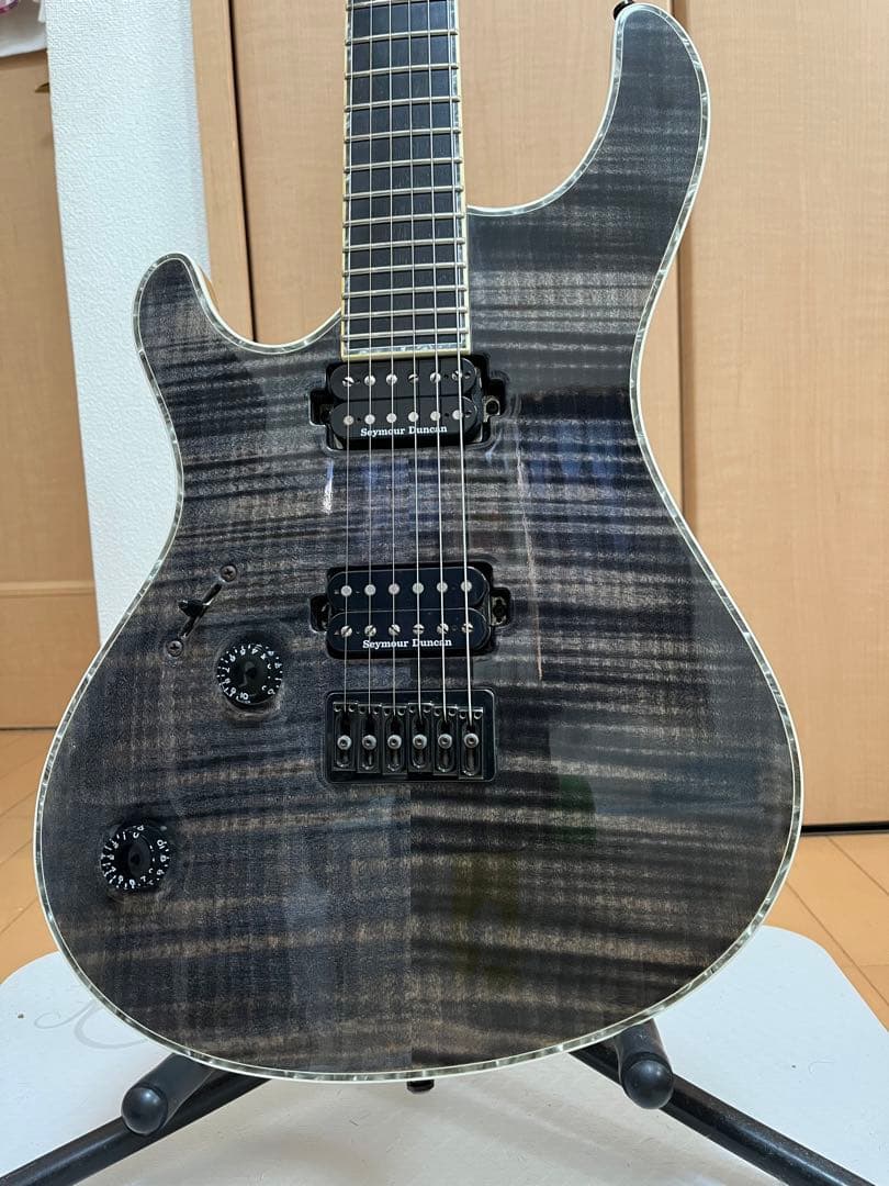 ギター Mayones Regius 6/Lefty (T-GRA-G)