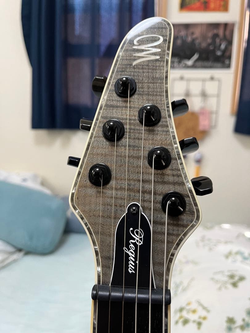 ギター Mayones Regius 6/Lefty (T-GRA-G)