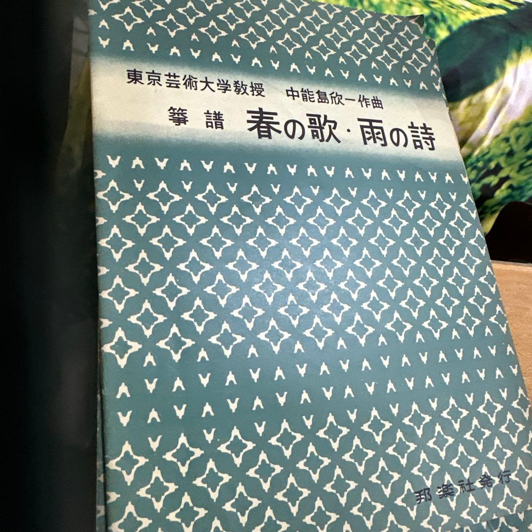 木製琴・弦・調整器具付き