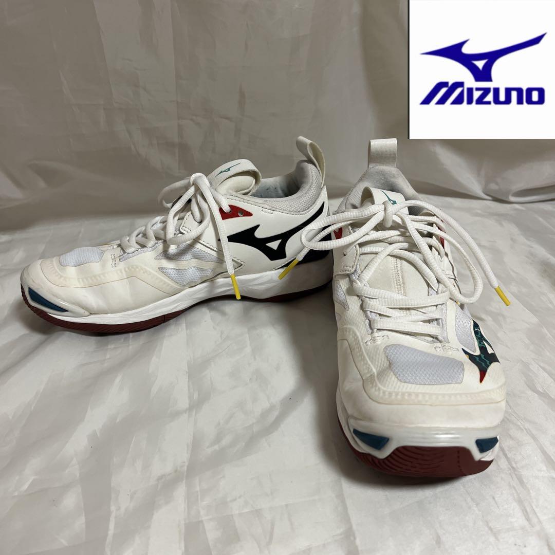 ⭐️Mizuno⭐️ミズノウエーブモーメンタム2(バレーボール)ホワイト
