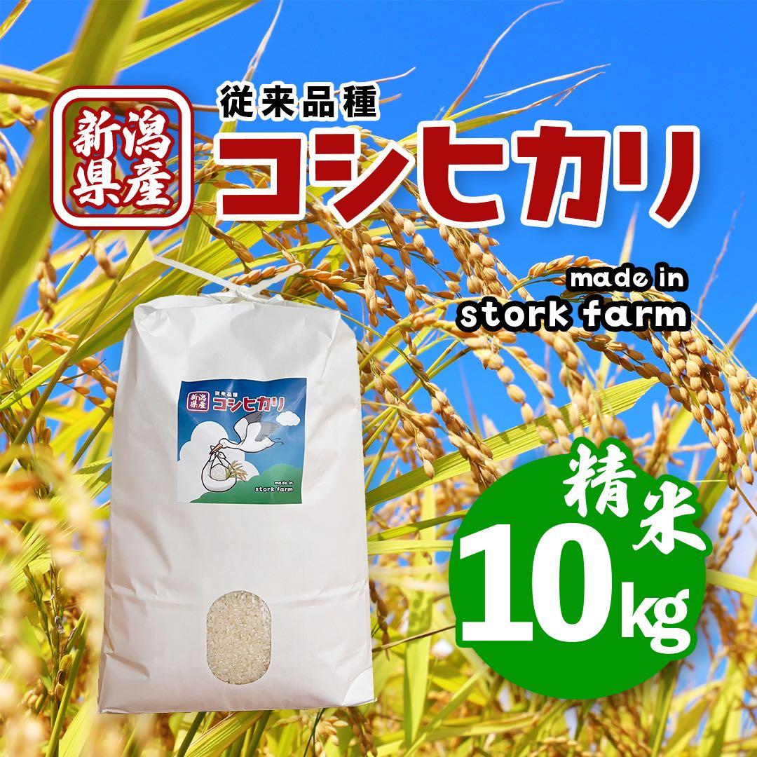 【令和7年産】【一等米】新潟県産従来品種コシヒカリ精米(白米)10kg B⑧