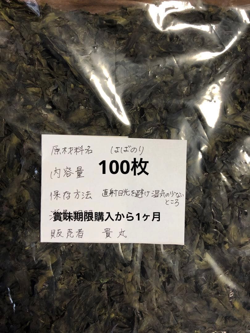 房州館山産はばのり✳︎100枚✳︎サービス10枚