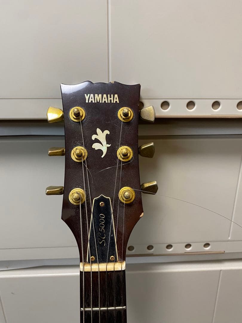 ギター YAMAHA SC-5000