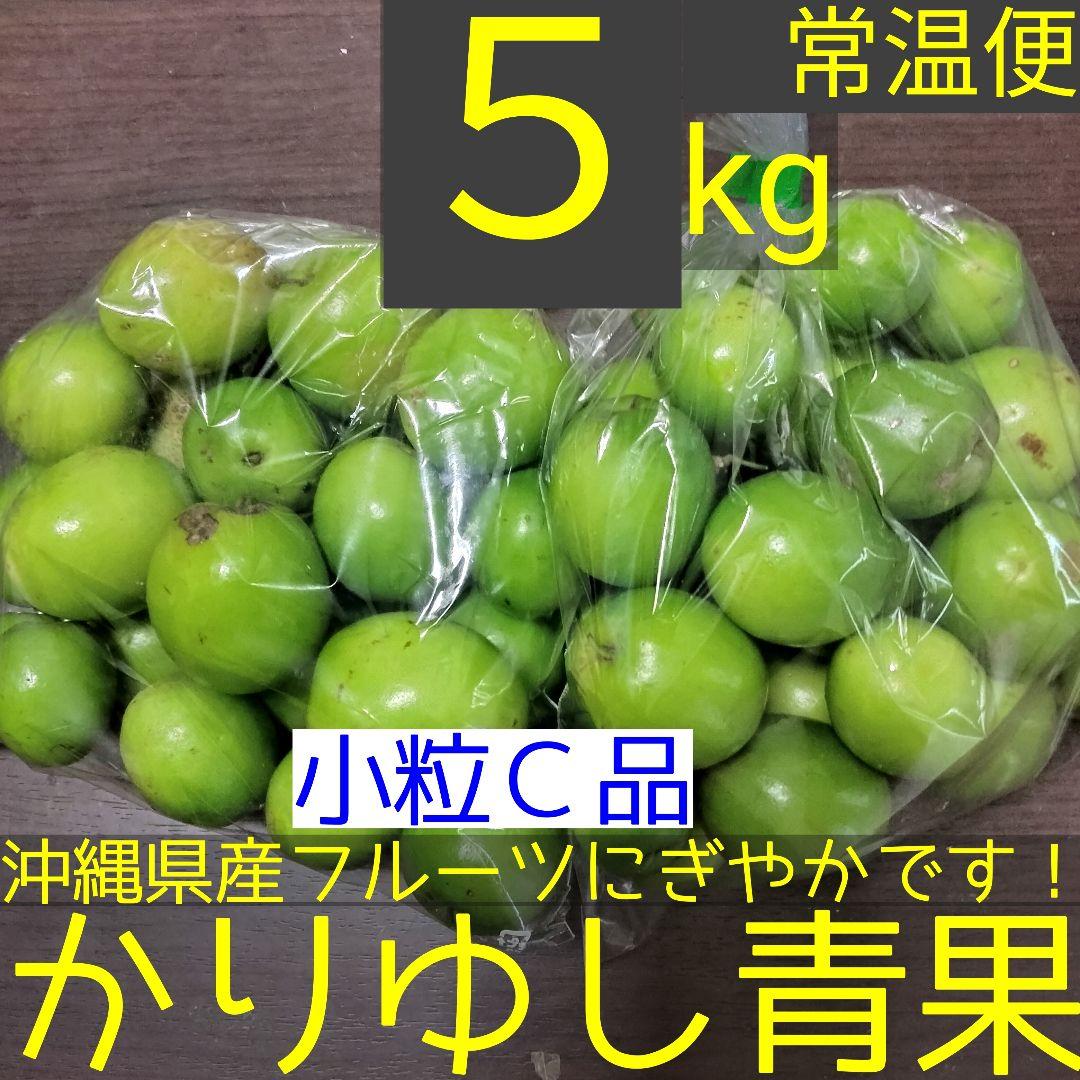 沖縄県産 インドナツメ小粒Ｃ品 約５kg【常温便】1