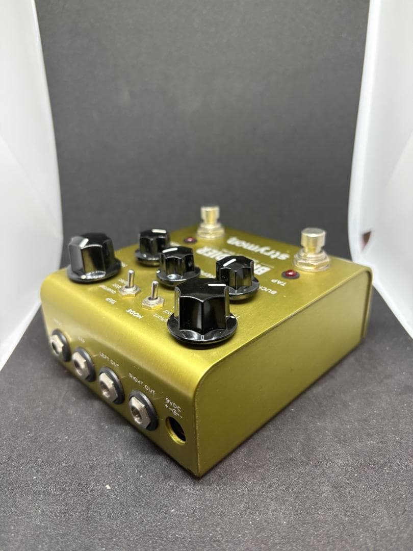 【週末価格】　Strymon Brigadier dBucket Delay
