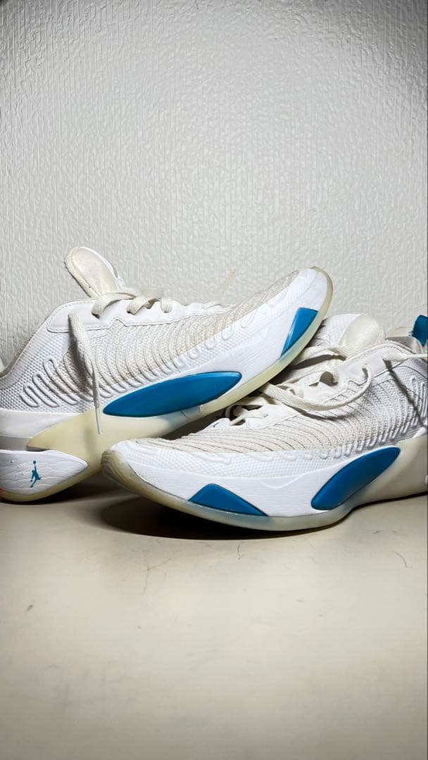 シューズ(男性用) Jordan Luka 1 PF 29cm