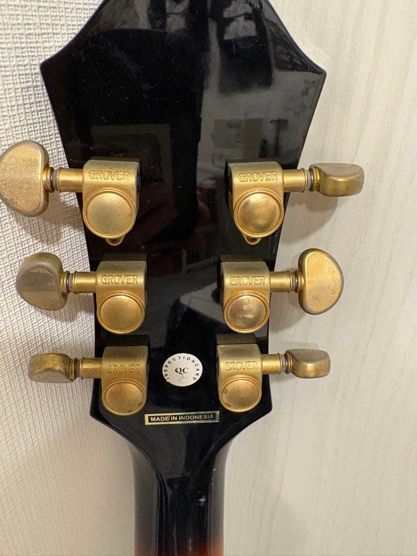 Epiphone EJ-200CE/VS専用ケース付