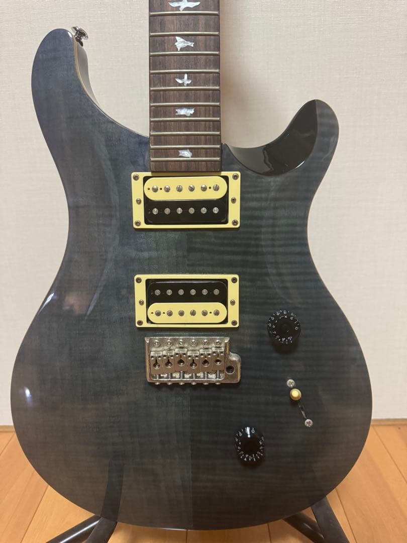 ギター Paul Reed Smith SE Custom