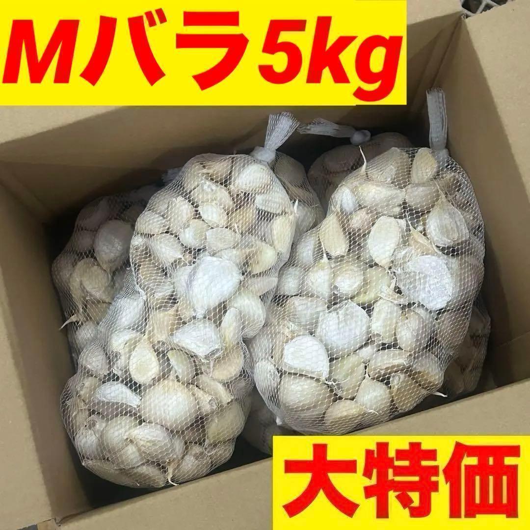お得！新物 青森県産 にんにく Mバラ 5kg 福地ホワイト 加工 種 激安