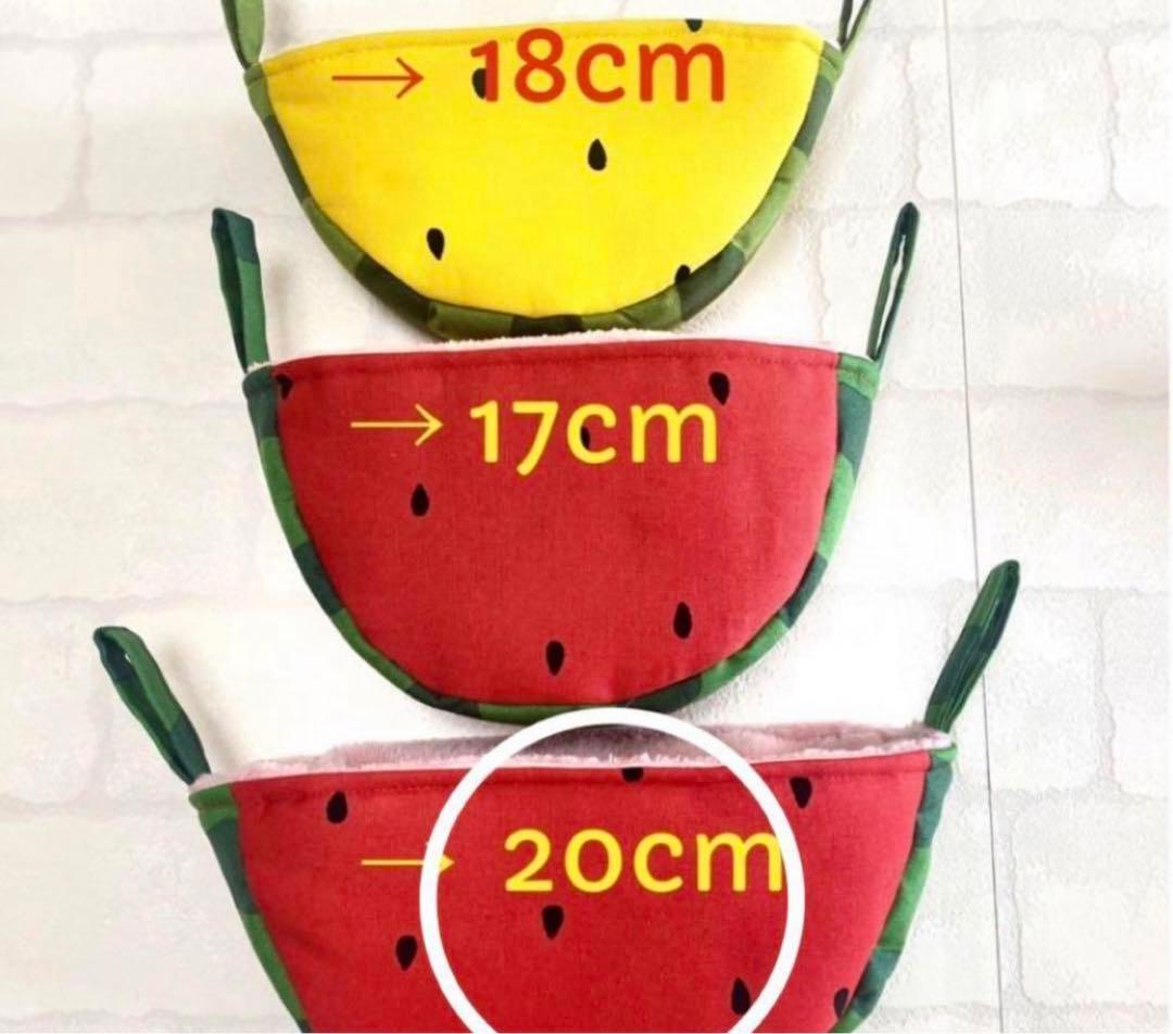 フクロモモンガポーチ　ちゃーちゃん様