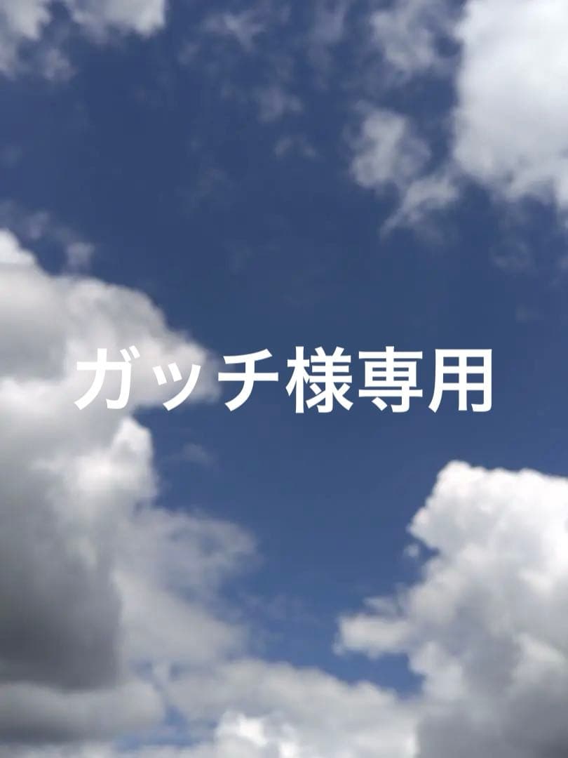長崎カステラ切り落とし ガッチ
