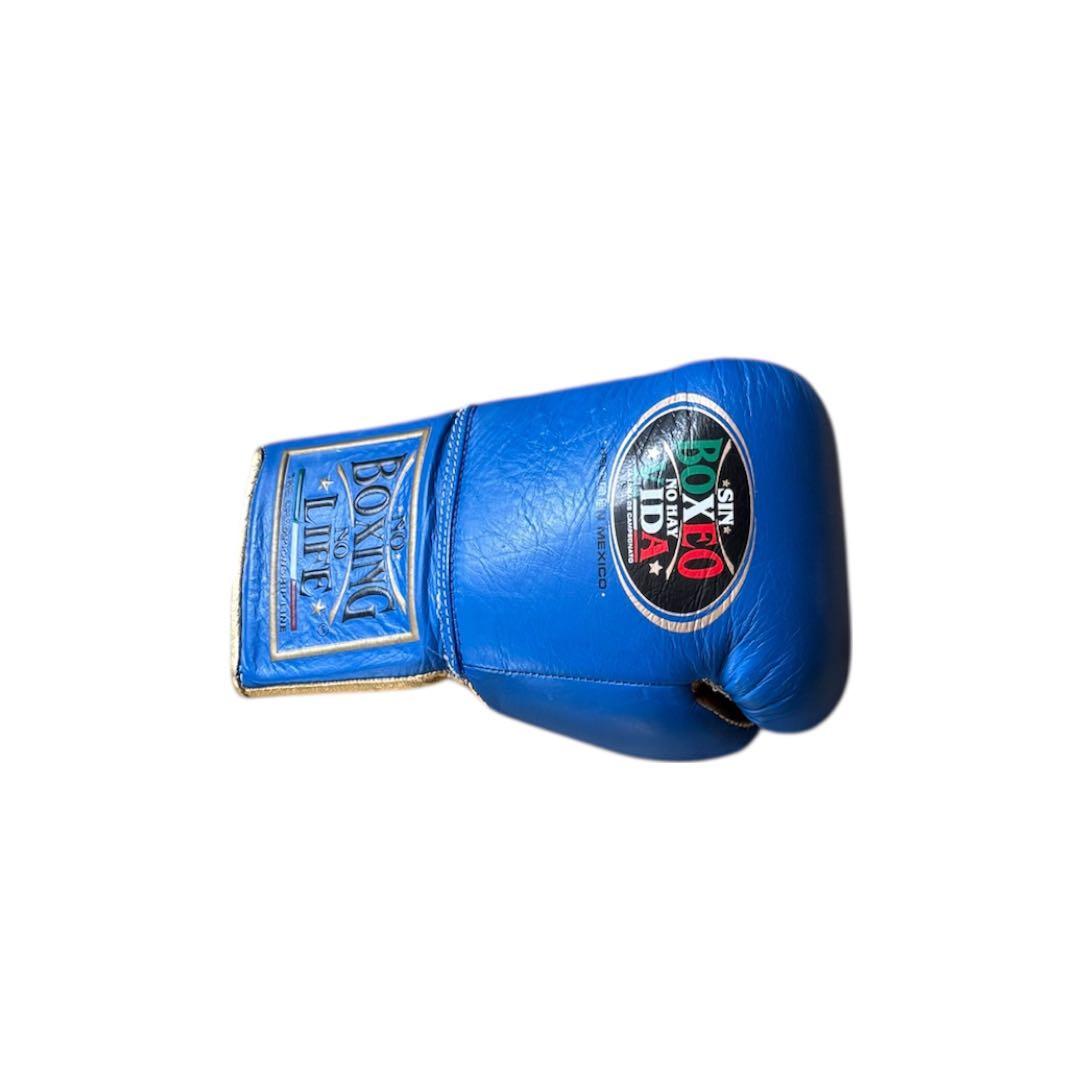 『新品未使用品』ボクシンググローブ No Boxing No Life 10oz