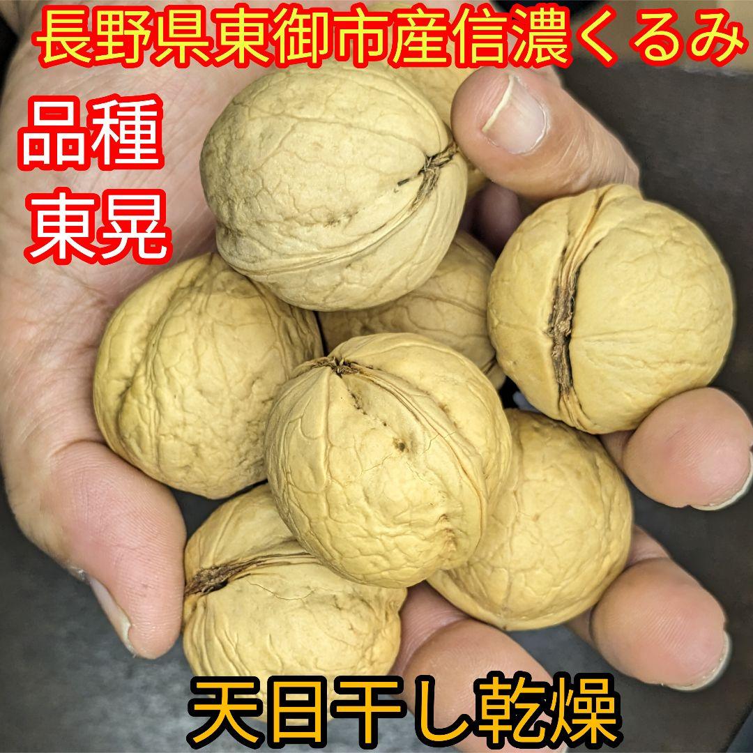 【ジャンドゥーヤ商品】 25年産 新物 国産 殻付き信濃くるみ 長野県産