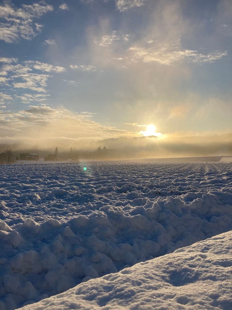 令和7年産魚沼産コシヒカリ　精米10kg