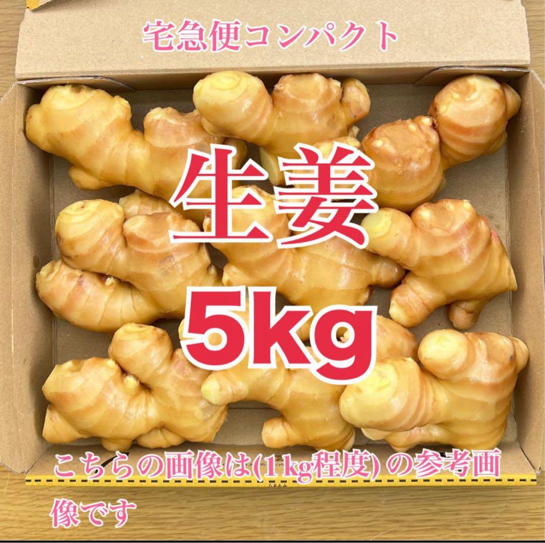 熊本生姜 5kg