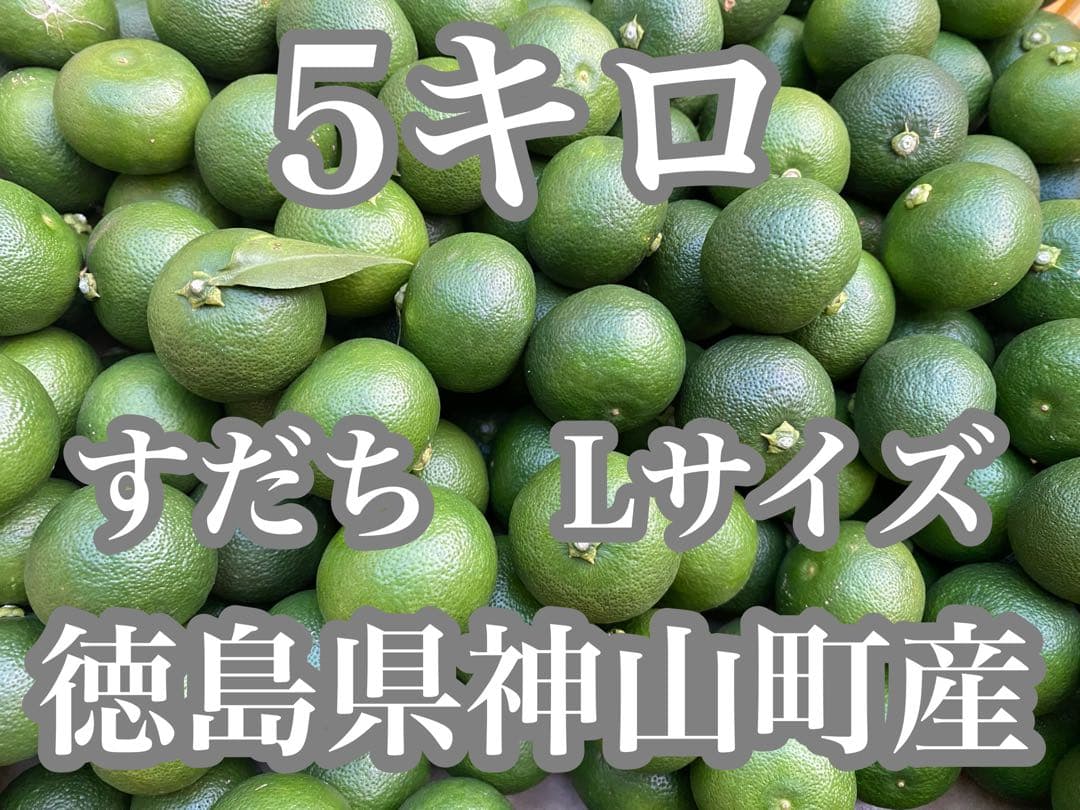 徳島県神山町産　《冷蔵貯蔵すだち》 綺麗なLサイズ　5キロ　　②