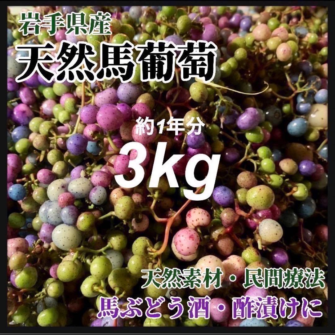 【採れたて】馬ぶどう250g×12袋　1年分3kg うまぶどう　薬膳　おすすめ