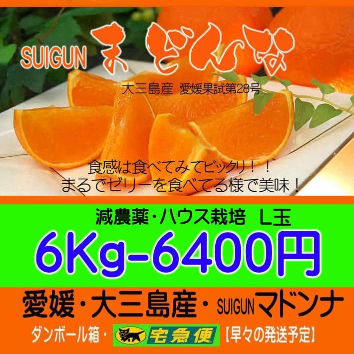 【mgmg】SUIGUNマドンナ6Kg×２か所発送