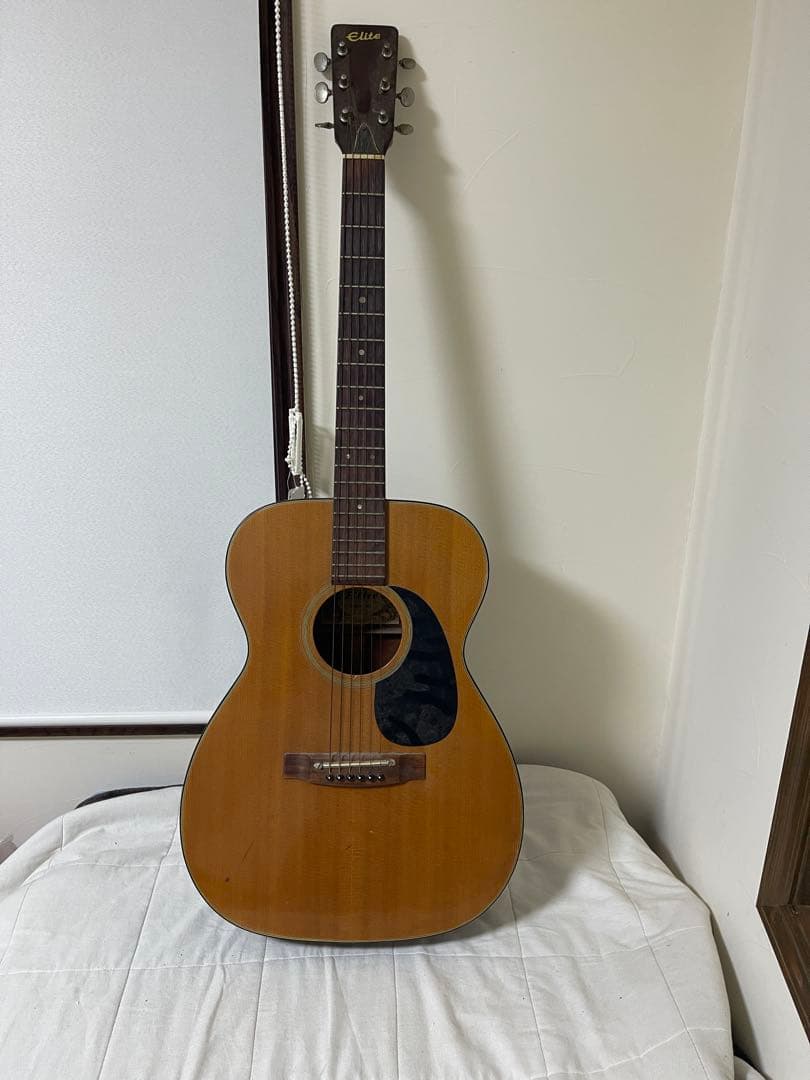elite f120 takamine アコースティックギター