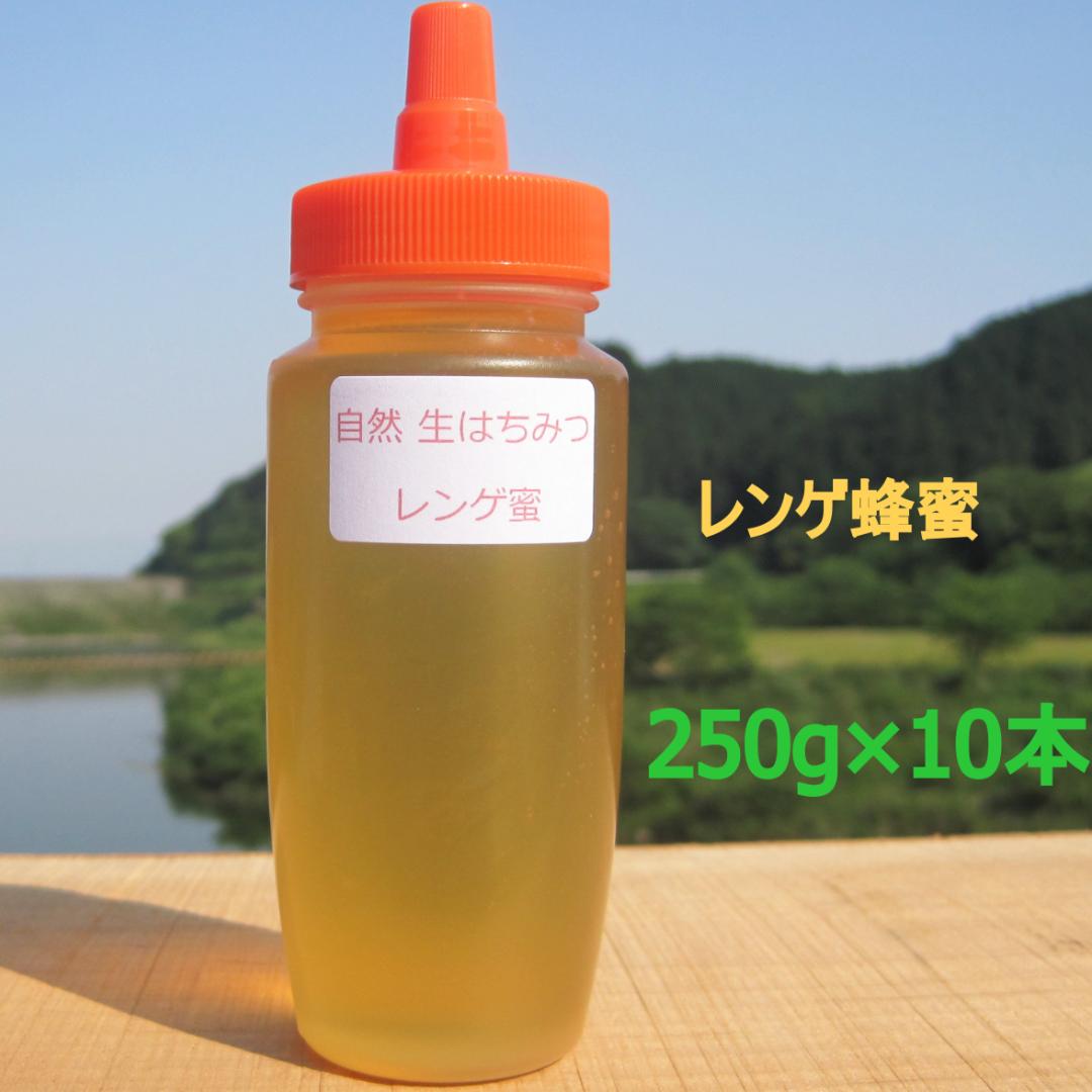 ☀️レンゲ蜂蜜１０本　生はちみつ　非加熱ハチミツ