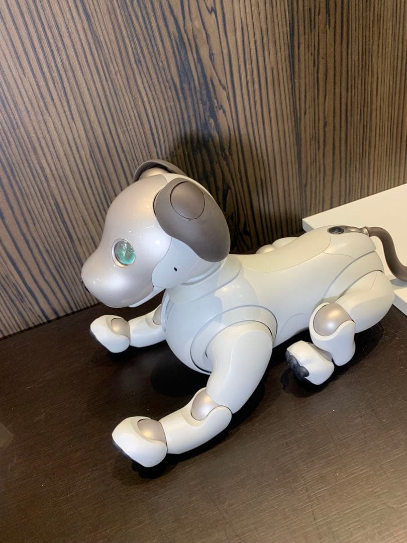 aibo アイボ