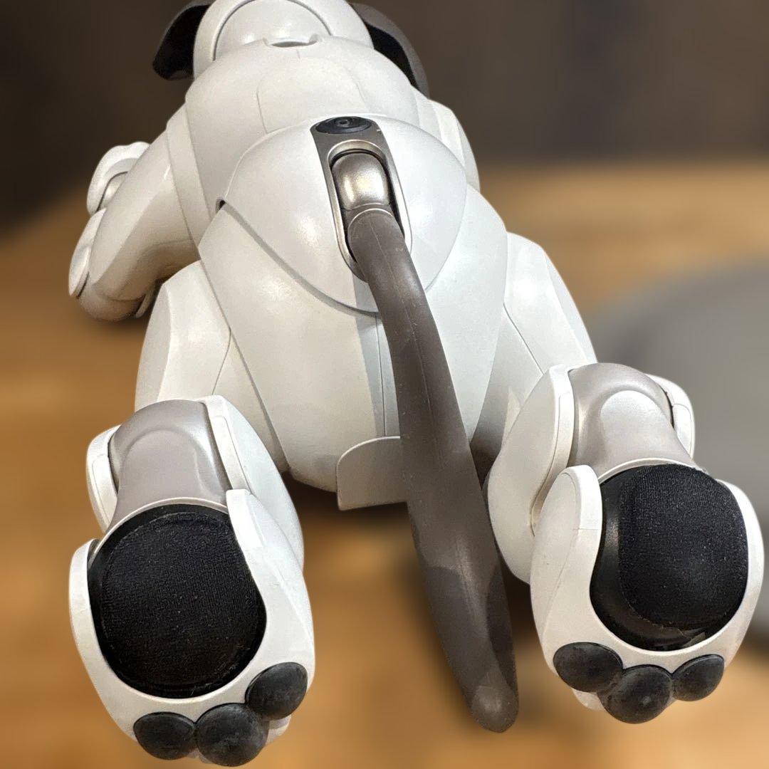 aibo アイボ