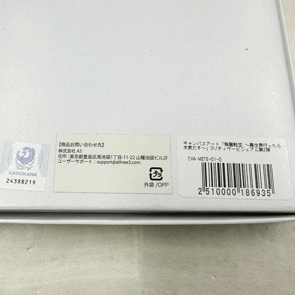公*o様 未使用・長期保管　無職転生～異世界行ったら本気だす～　キャンパスアート