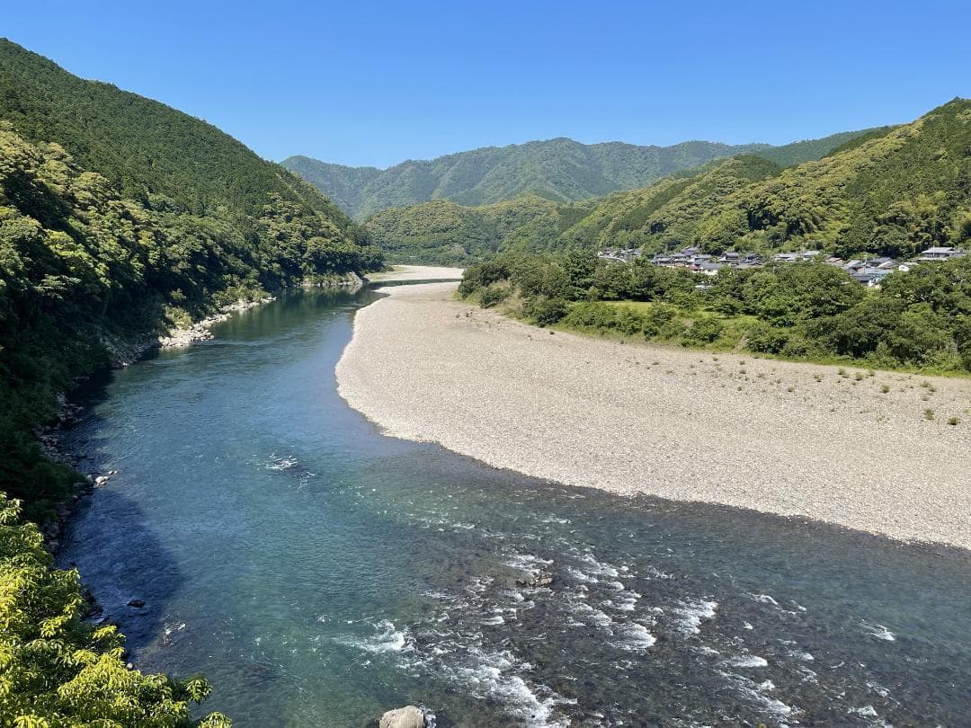 四万十川の流木　お題 ： かえる