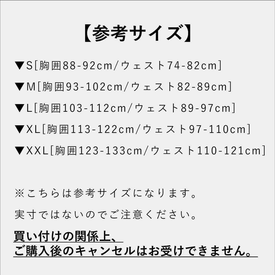 ★即日発送★　WBC 2023 日本代表 優勝記念TシャツMサイズ　海外限定