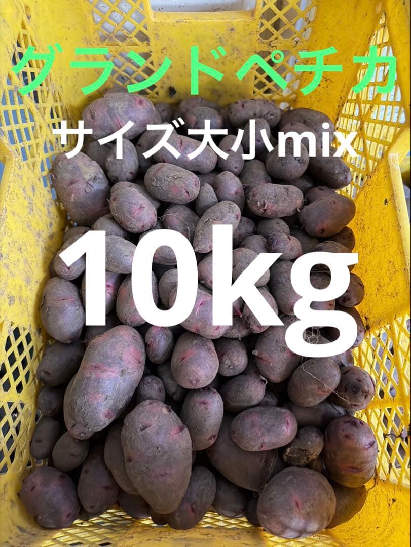 じゃがいも 馬鈴薯 グランドペチカ デストロイヤー 10kg 食用 種芋
