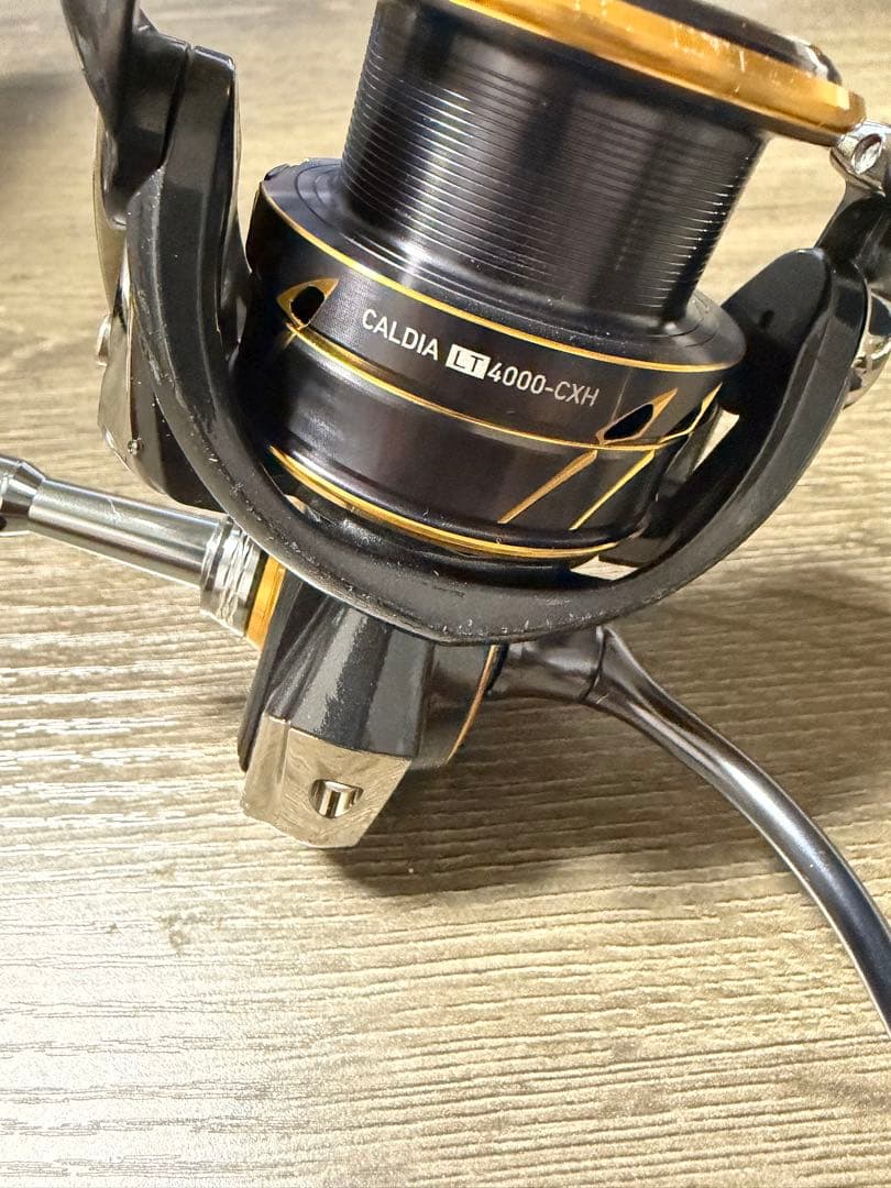 DAIWA 21カルディアLT4000CXH スピニングリール