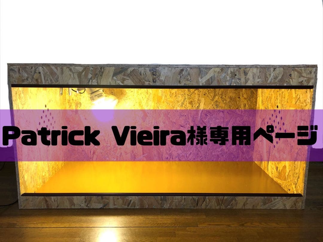 Patrick Vieiraページ
