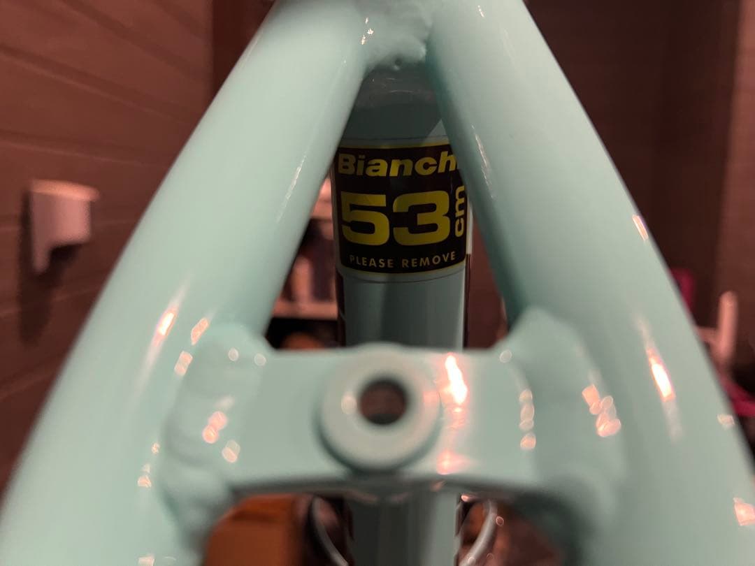 Bianchi IMPULSO 2019 53size フレーム