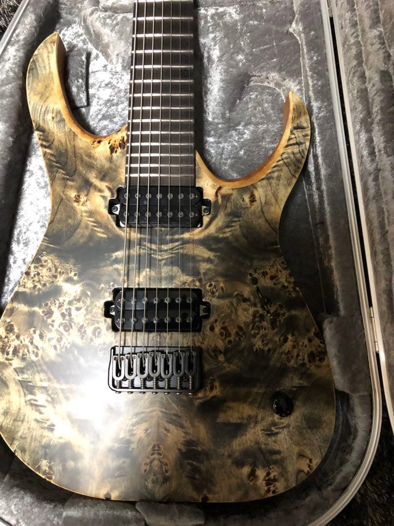 mayones Duvell Elite Bare Knuckle交換