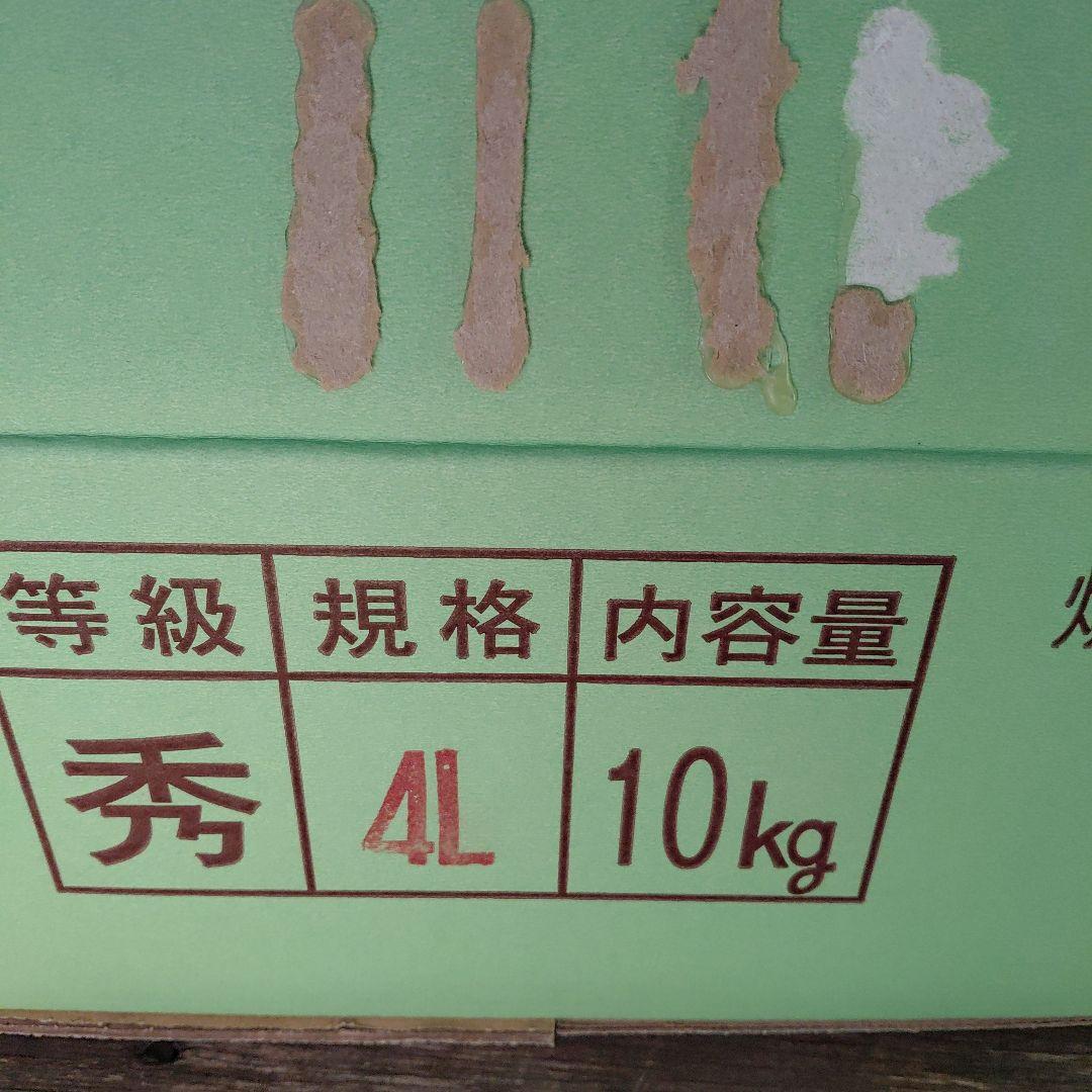 新鮮な栗 4Lサイズ 50kg JA山口美祢産