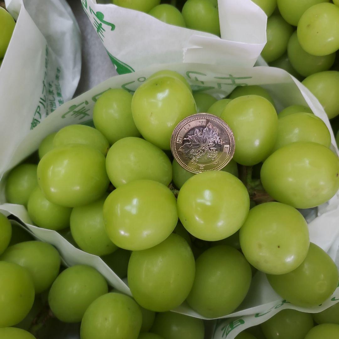 3️⃣ 山梨県産 シャインマスカット １０房入り 箱込み5.5キロ