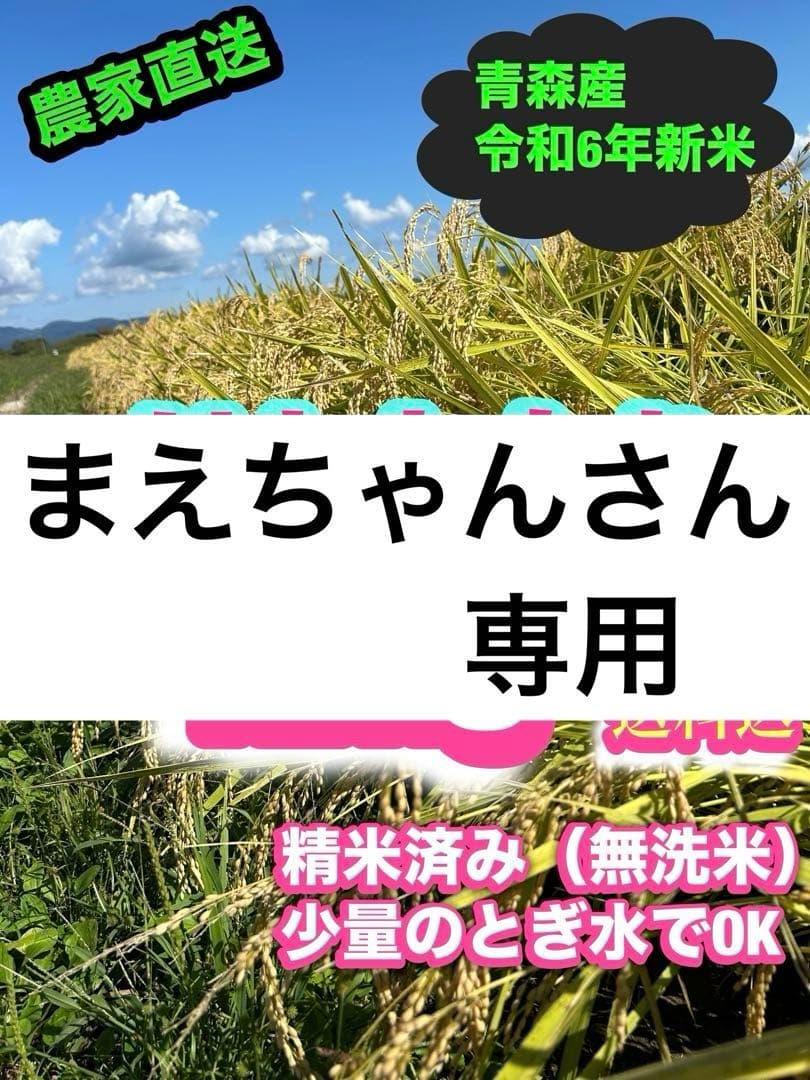 青森県産 はれわたり 令和6年産（精米済み）12kg送料込み